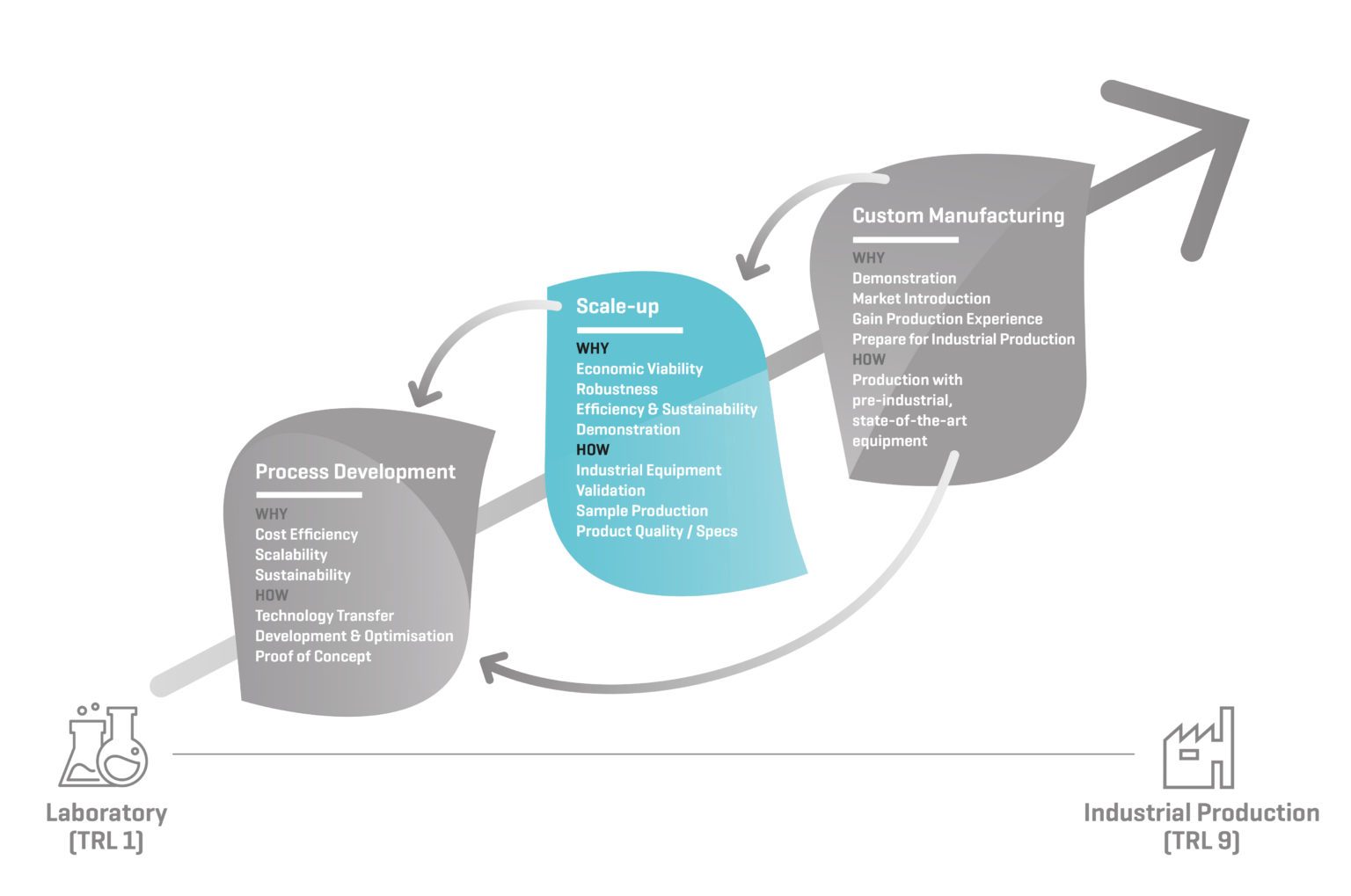 Scale-up - Bio Base Europe Pilot Plant